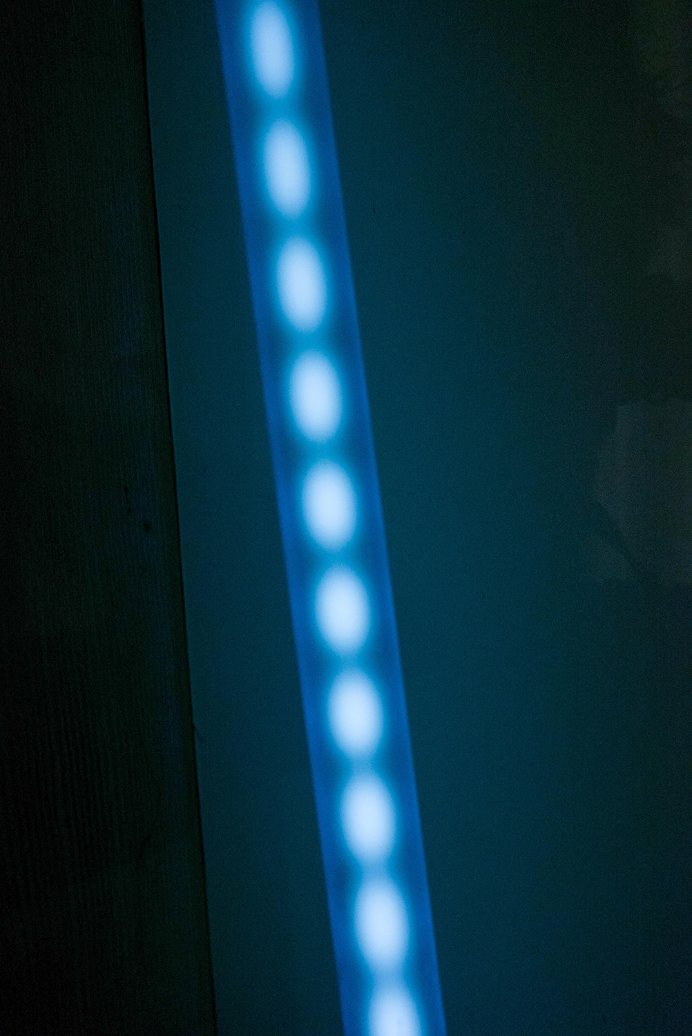 CLEAR LITE – David Bermant Foundation