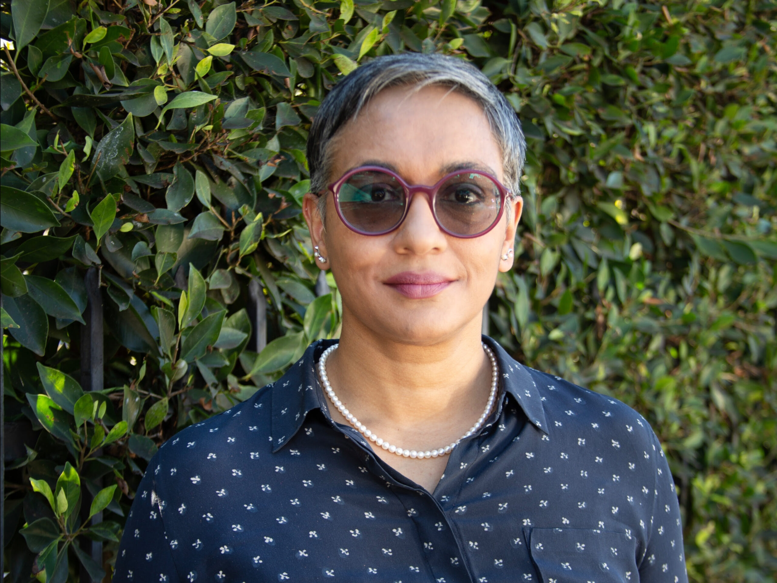 Color, Light, Motion. Episode 18: Anuradha Vikram – David Bermant ...